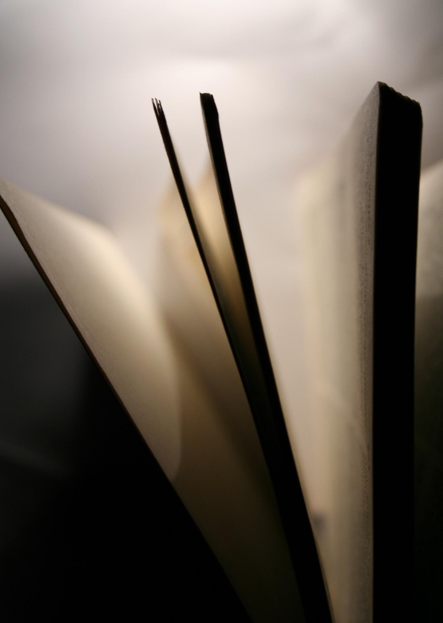 A Book Pages Literature - Free photo on Pixabay
