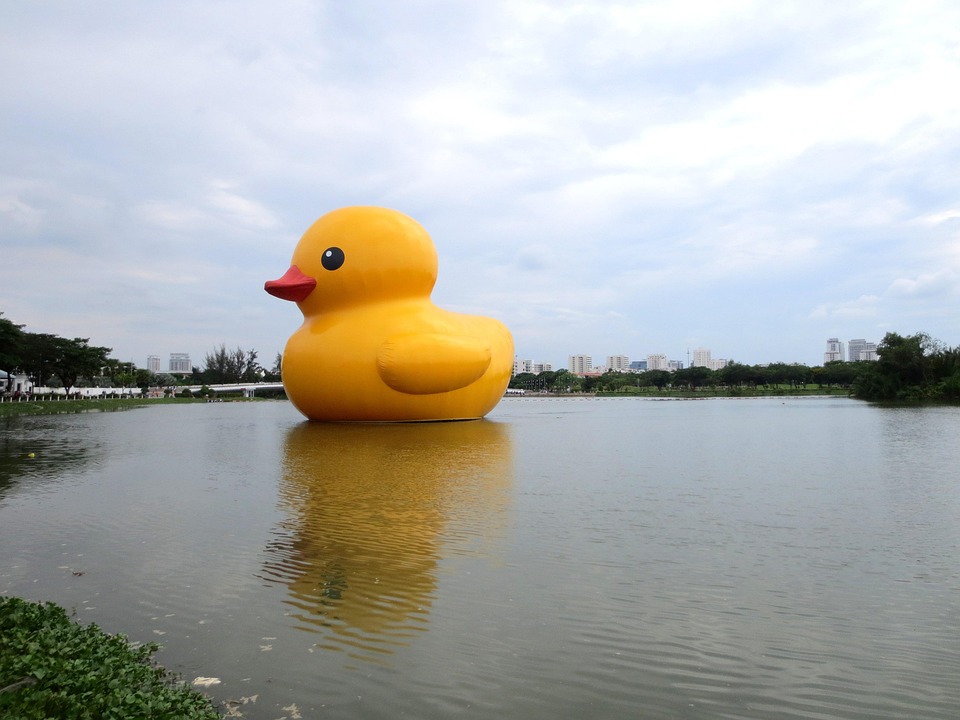 Duck Art Tour Florentijn - Free photo on Pixabay - Pixabay
