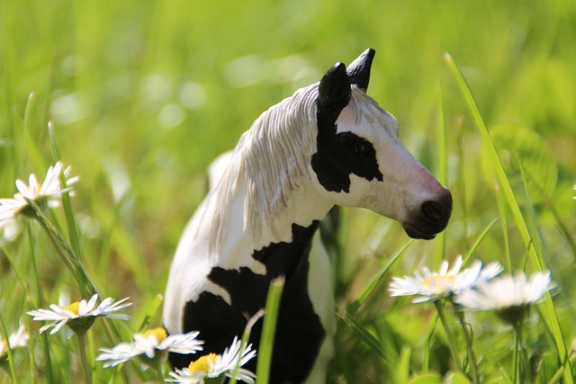 Pony Horse Meadow - Free photo on Pixabay - Pixabay