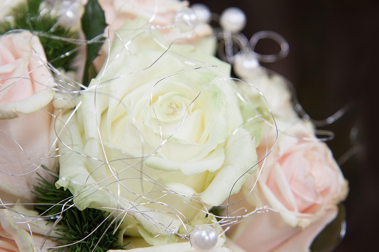 60+ Free Mapa Bouquet & Map Images - Pixabay