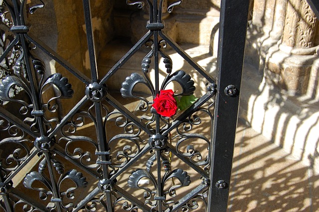 Vienna Stephansdom Door - Free photo on Pixabay