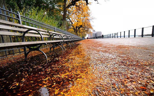 Autumn New York · Free photo on Pixabay