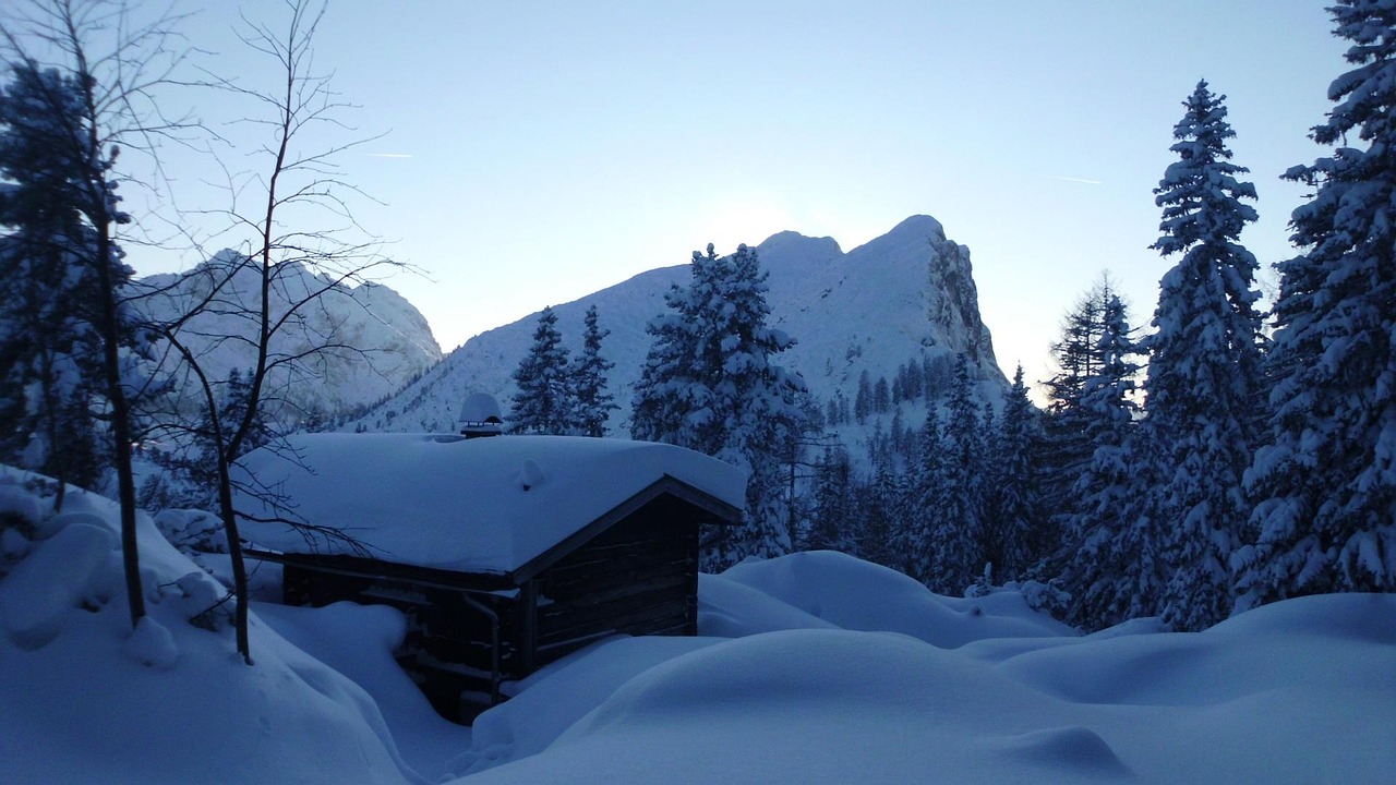 Neve Floresta De Inverno Montanhas - Foto gratuita no Pixabay - Pixabay