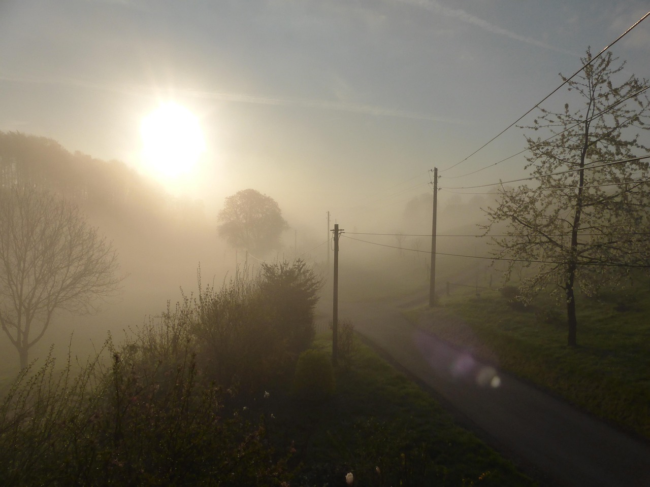 Sunrise Fog In The - Free photo on Pixabay - Pixabay