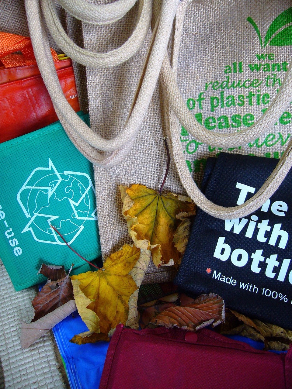 100+ Free Reuse & Recycling Photos - Pixabay