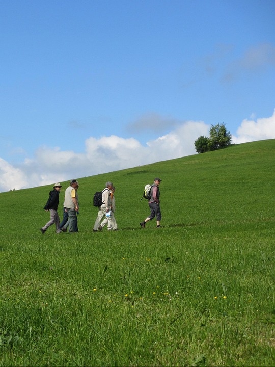 Wanderer Weg Wiese - Kostenloses Foto auf Pixabay - Pixabay