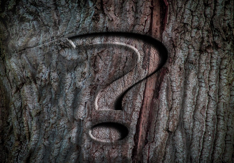 Download Question Mark, Punctuation Marks, Alphabet. Royalty-Free Stock ...