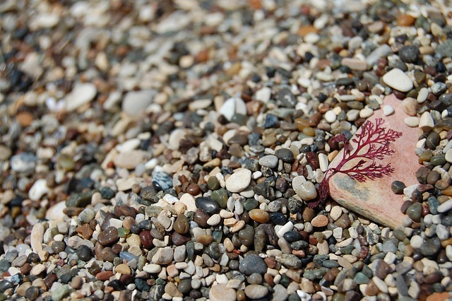 Pebbles Rocks Beach - Free photo on Pixabay - Pixabay