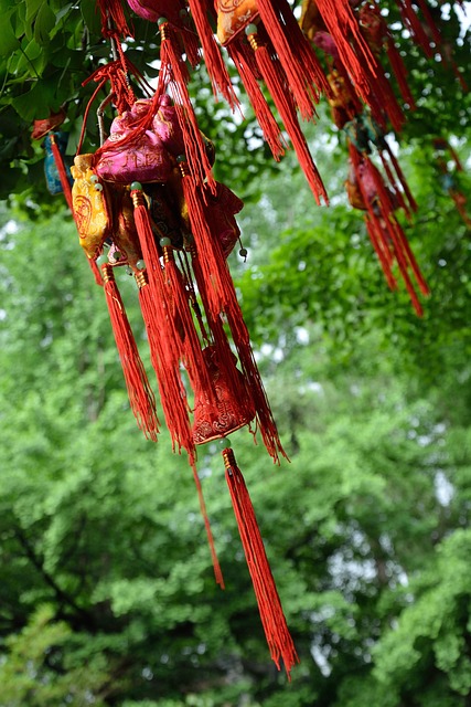 Jing Li Wish Tree Red - Free photo on Pixabay - Pixabay