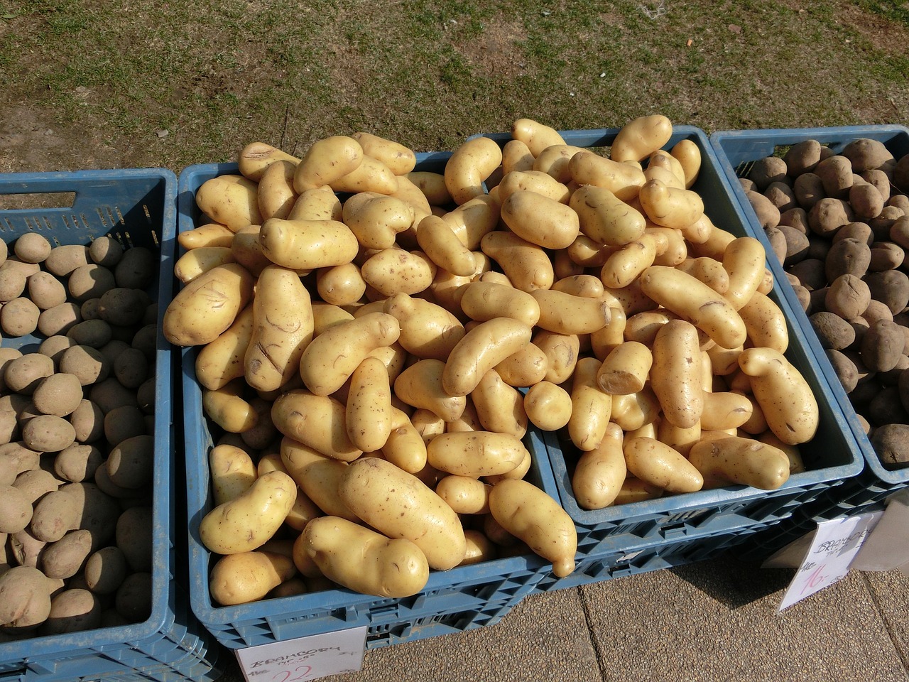 Potatoes Market Vegetables - Free photo on Pixabay - Pixabay