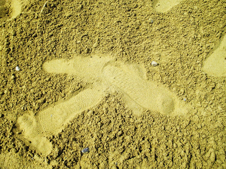 Sand Sense Feet - Free photo on Pixabay