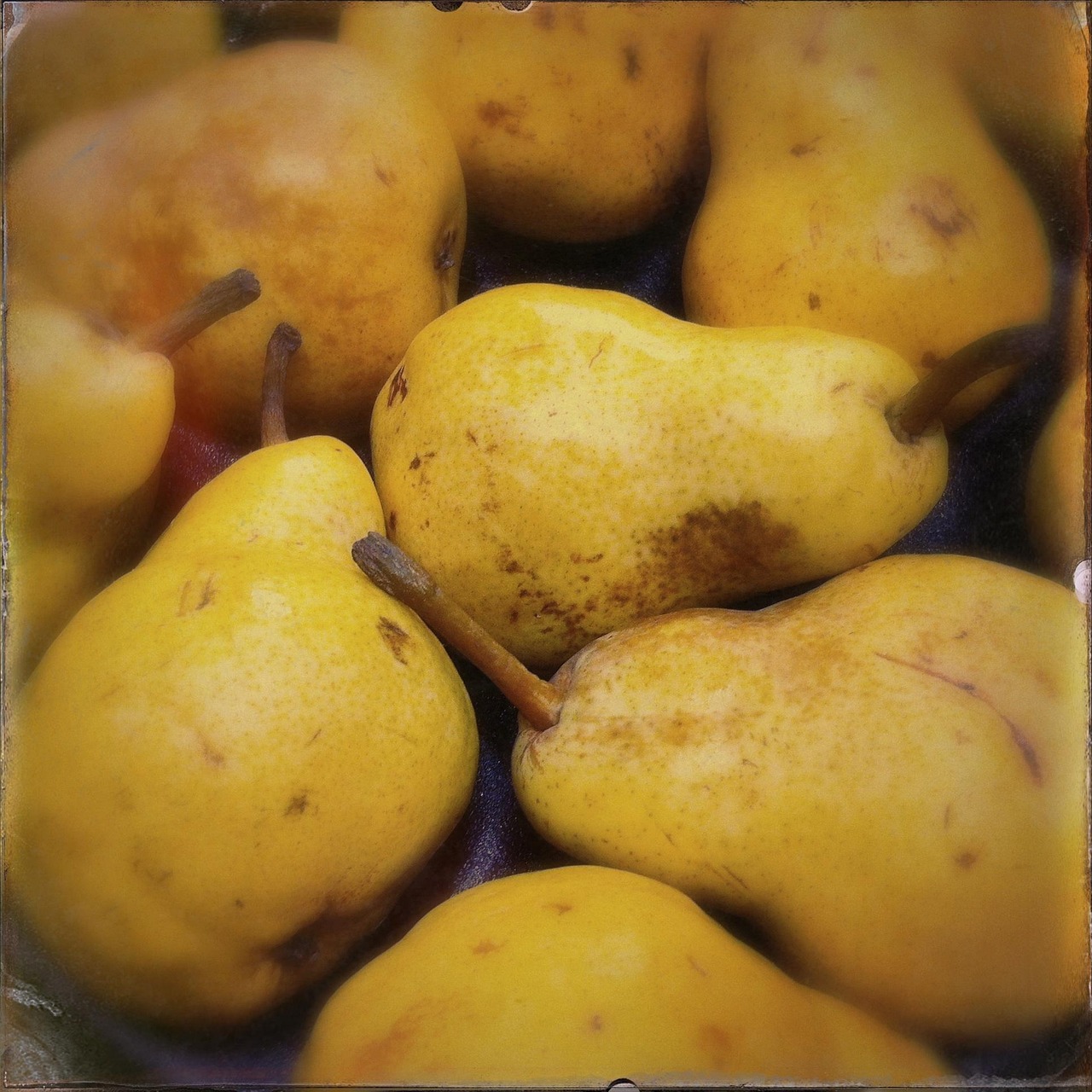 Pears Fruit - Free photo on Pixabay