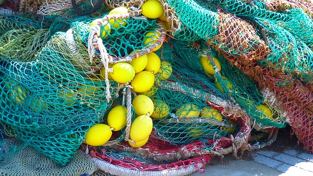 Fishing Net Web - Free photo on Pixabay