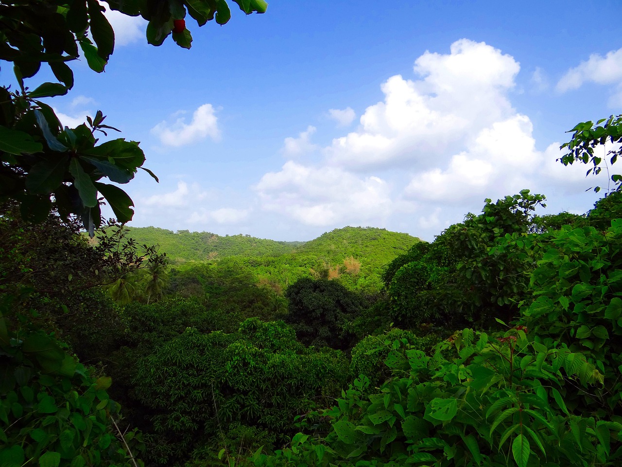 Western Ghats Mountains Nature - Free photo on Pixabay - Pixabay