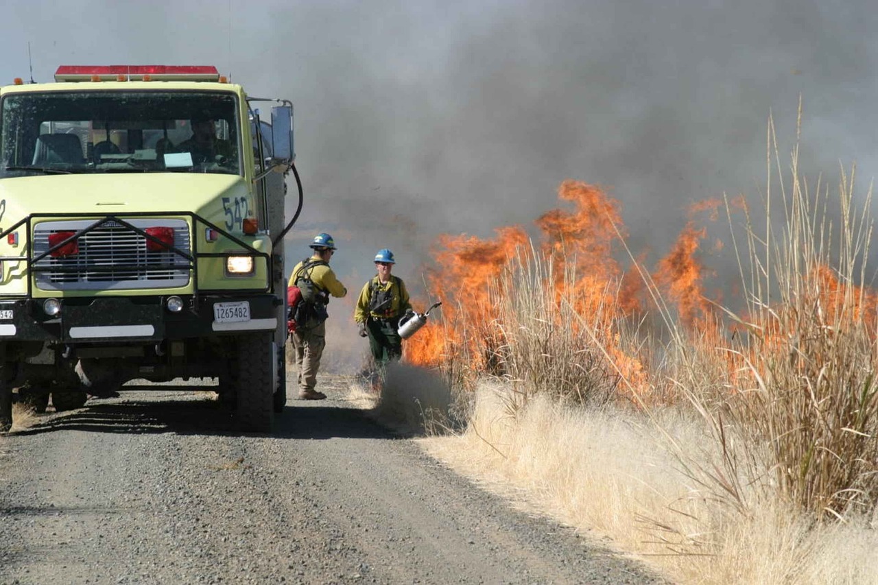 70+ Free Set Fire & Fire Images - Pixabay
