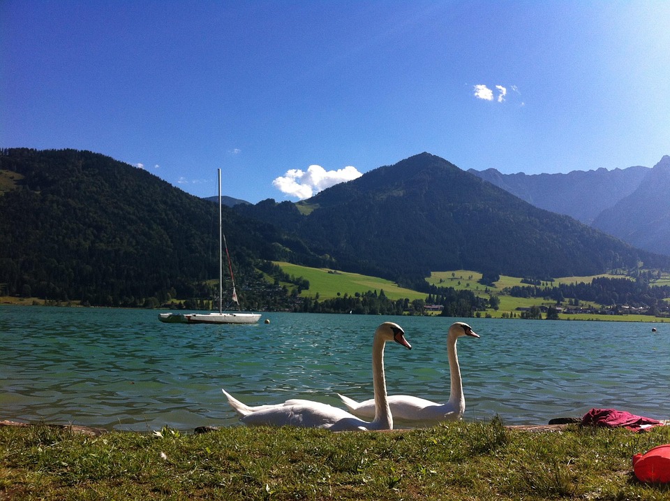 Walchsee Lake Austria - Free photo on Pixabay - Pixabay