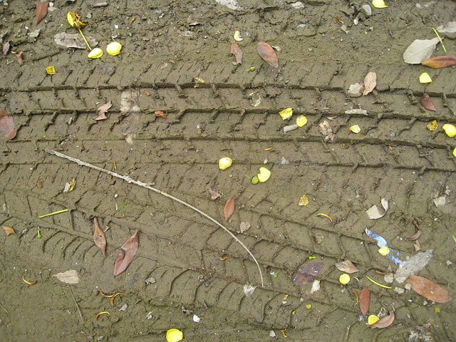 Tyre Tracks Marks - Free photo on Pixabay - Pixabay