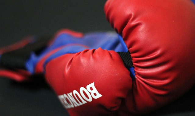 Boxing Gloves - Free photo on Pixabay