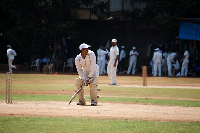 Cricket Practice Batsman Ball - Free photo on Pixabay
