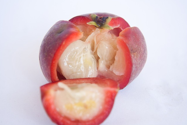 Kokum Fruits India - Free photo on Pixabay