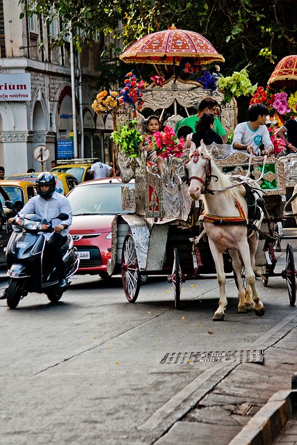Horse Carriage Victorian - Free photo on Pixabay - Pixabay