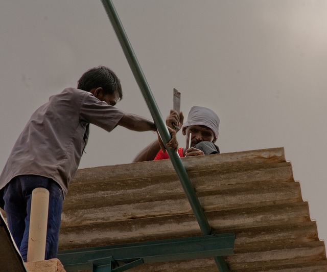 10+ Free Indian Labour & Worker Images - Pixabay