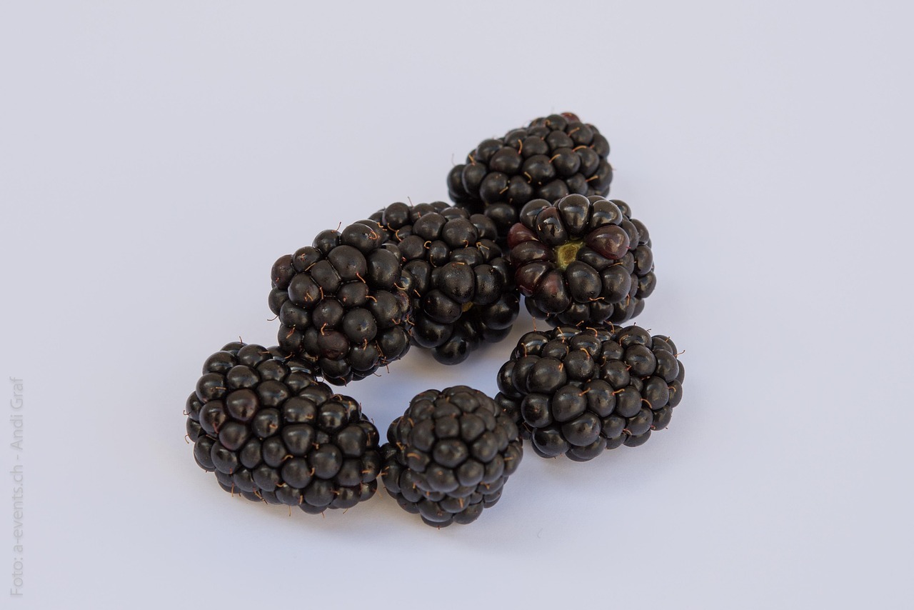 Blackberries Fruit Berry - Free photo on Pixabay