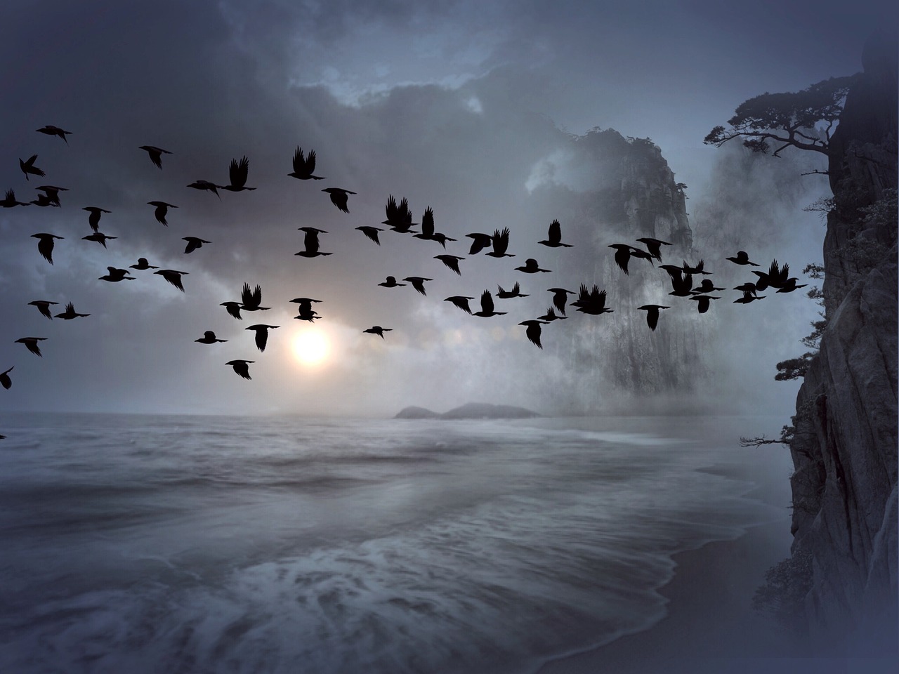 10,000+ Free Flying Bird & Bird Images - Pixabay