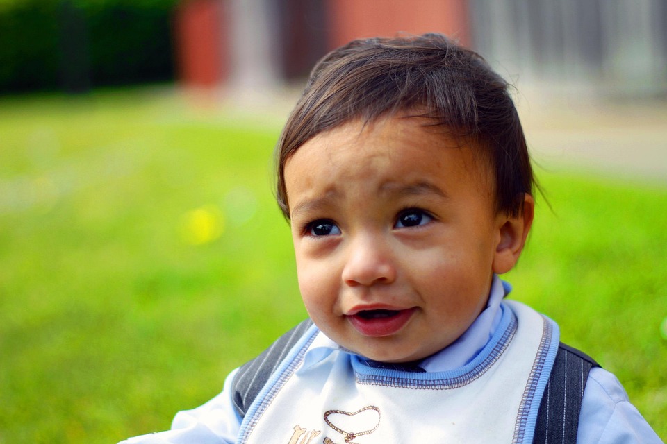 Free Photo Child Baby Boy Kid Face Free Image On Pixabay 393569 Free Photo Child Baby Boy Kid Face Free Image On Pixabay 393569