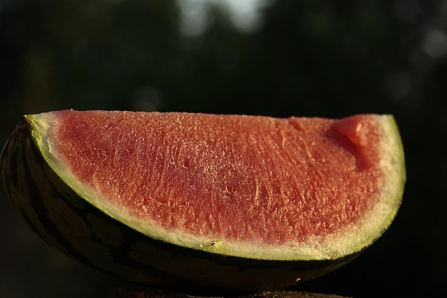 Watermelon Melon Fruit - Free photo on Pixabay - Pixabay