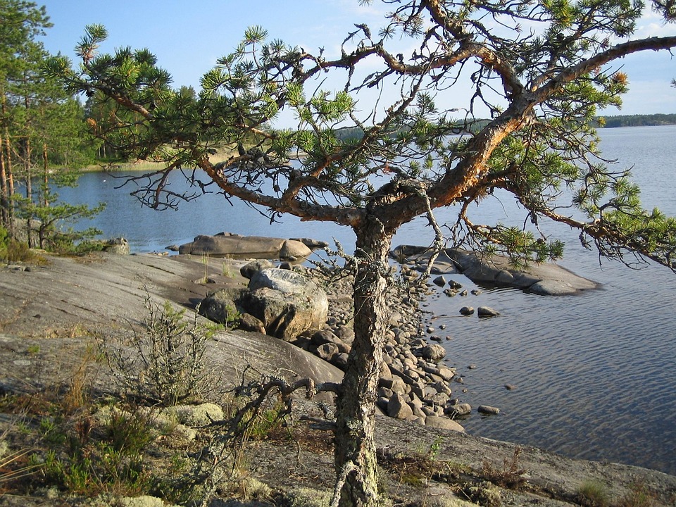 Arbre Lac Paysage La - Photo gratuite sur Pixabay - Pixabay