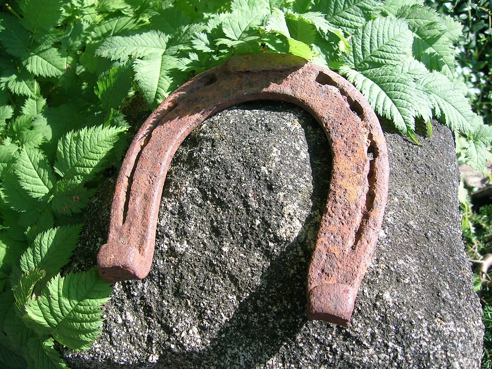 Horseshoe Happiness Garden Lucky - Free photo on Pixabay - Pixabay