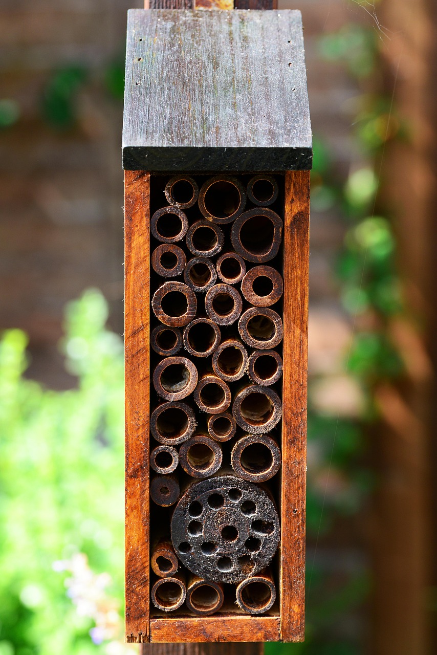 Insect House Bee Hotel Solitary - Free photo on Pixabay