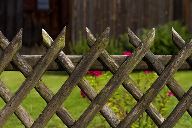 300+ kostenlose Gartenzaun und Zaun-Bilder - Pixabay