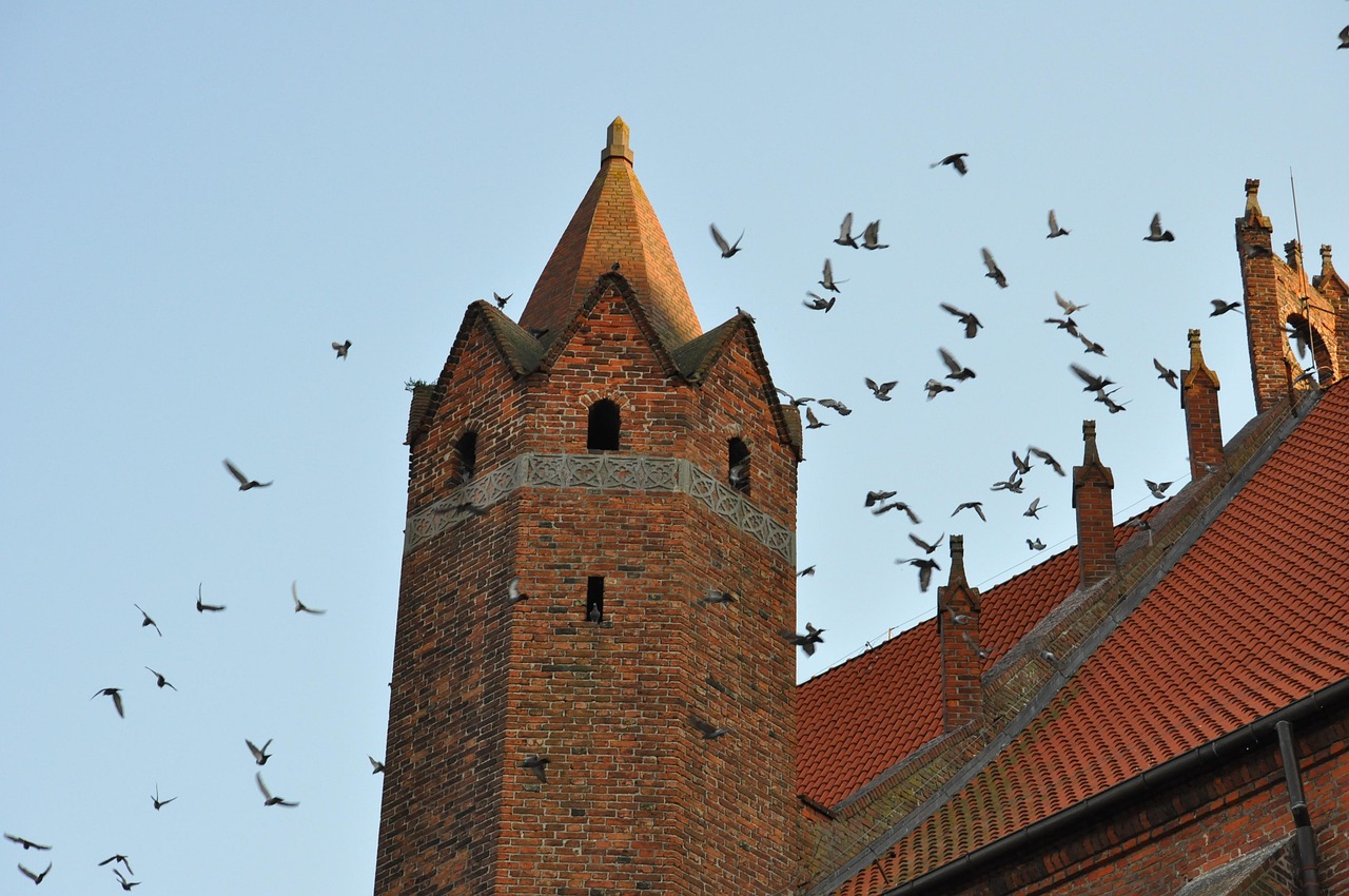 Church Tower Architecture - Free photo on Pixabay - Pixabay