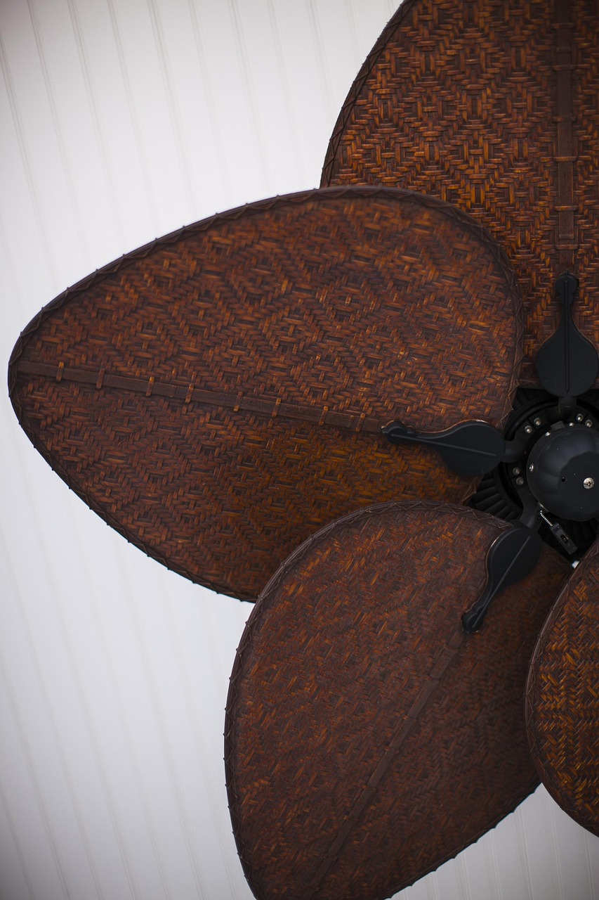 Fan Brown Culture - Free photo on Pixabay