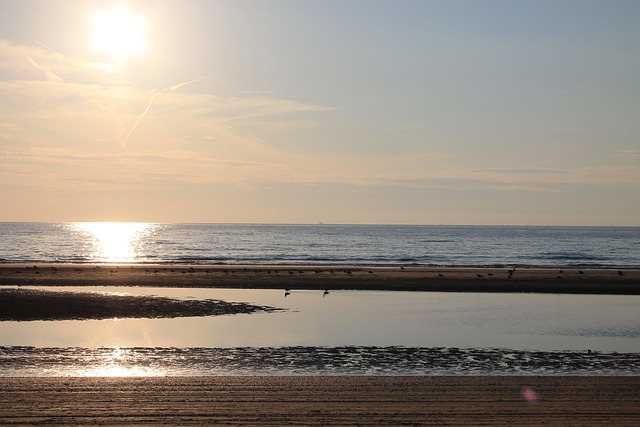 North Sea Coast Sand - Free photo on Pixabay - Pixabay