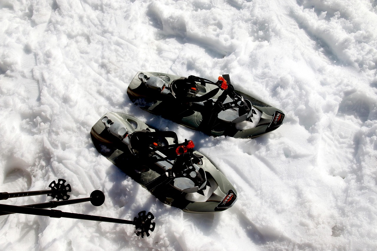 Snowshoes Snowshoeing Snow - Free photo on Pixabay