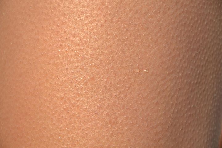 3+ Free Goosebumps & Skin Images - Pixabay