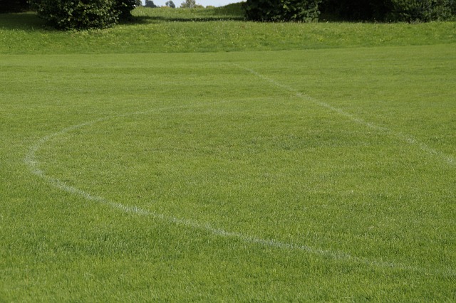 Sports Ground Football Pitch Grass - Free photo on Pixabay - Pixabay
