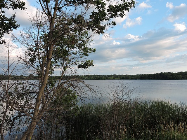 Nature Lake Minnesota - Free photo on Pixabay - Pixabay
