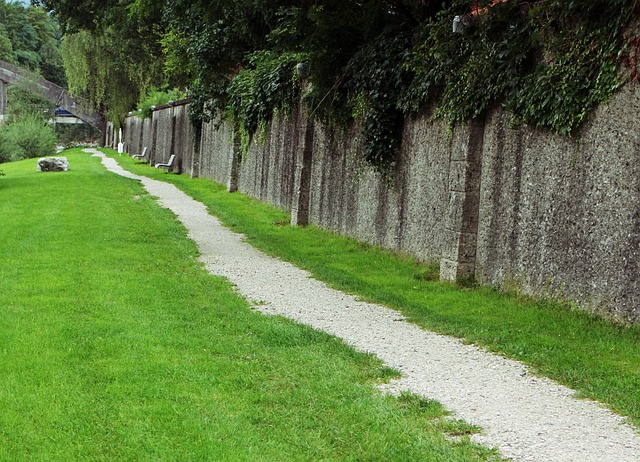 Spazierweg Pfad Weg - Kostenloses Foto auf Pixabay - Pixabay