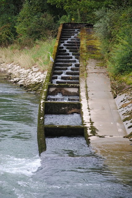 Fishing Ladder Fish Pass Flow - Free photo on Pixabay - Pixabay
