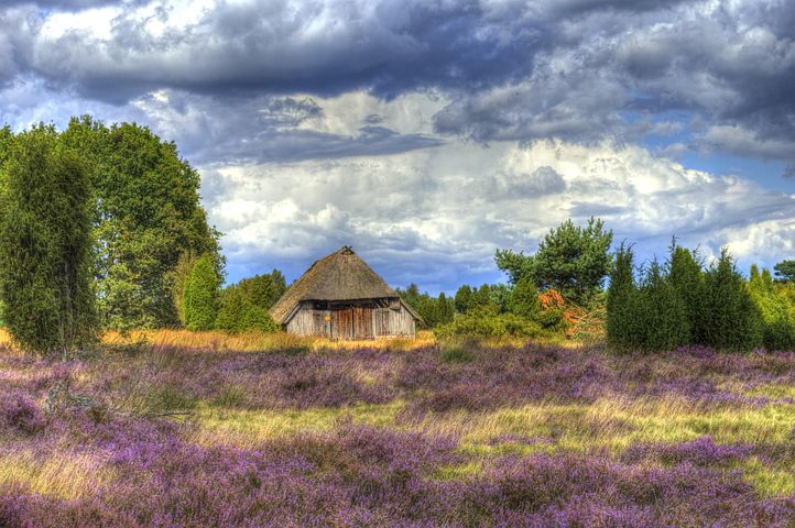600+ Free Pagan & Nature Images