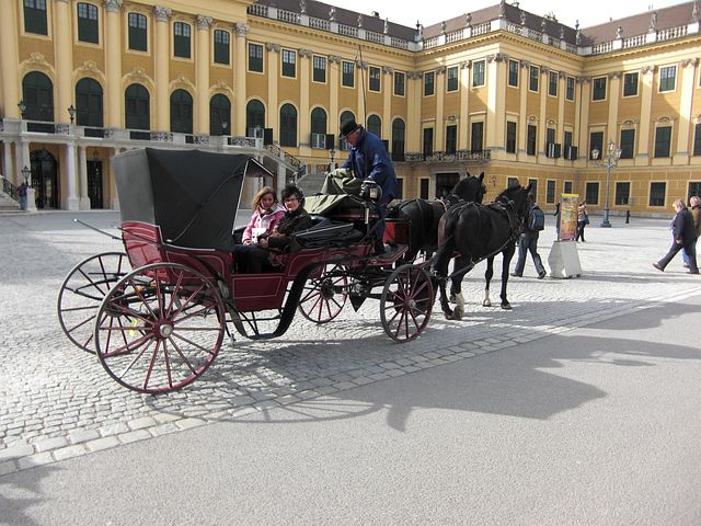 100+ kostenlose Pferdekutsche & Kutsche Fotos - Pixabay