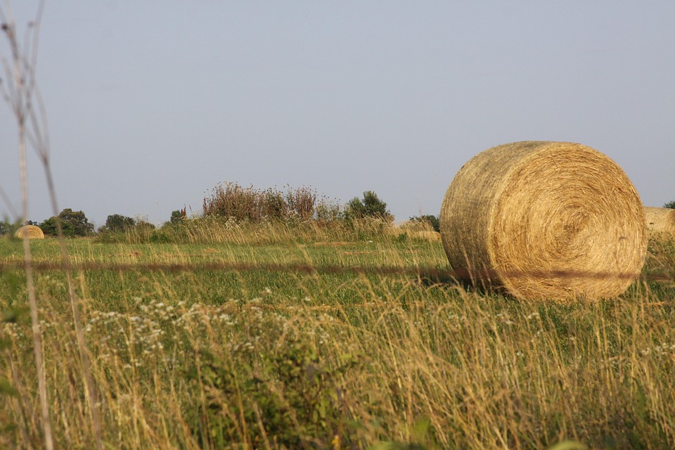 Heuballen Feld Heu - Kostenloses Foto auf Pixabay - Pixabay