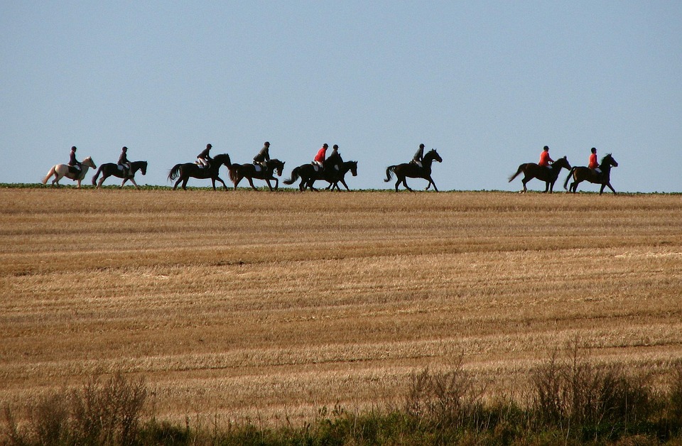 Reiter Pferde Reiten - Kostenloses Foto auf Pixabay - Pixabay