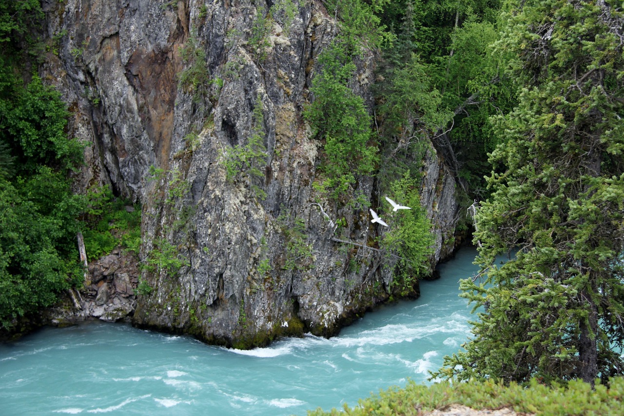 Alaska Landscape Wilderness - Free photo on Pixabay