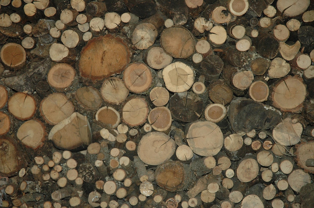 Wood Tribes Tribe Tree - Free photo on Pixabay - Pixabay