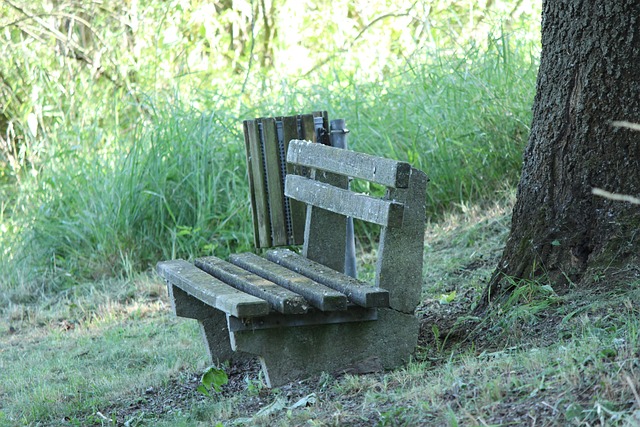 Bank Bench Nature - Free photo on Pixabay - Pixabay